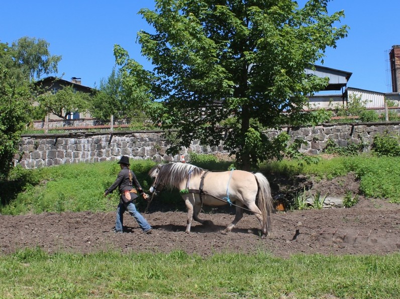 Johanna Bente Ackerbau mit Pferden - zukunftsFähig e. V.